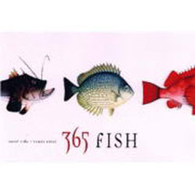 365 Fish (Kolektif) - Fiyat & Satın Al | D&R
