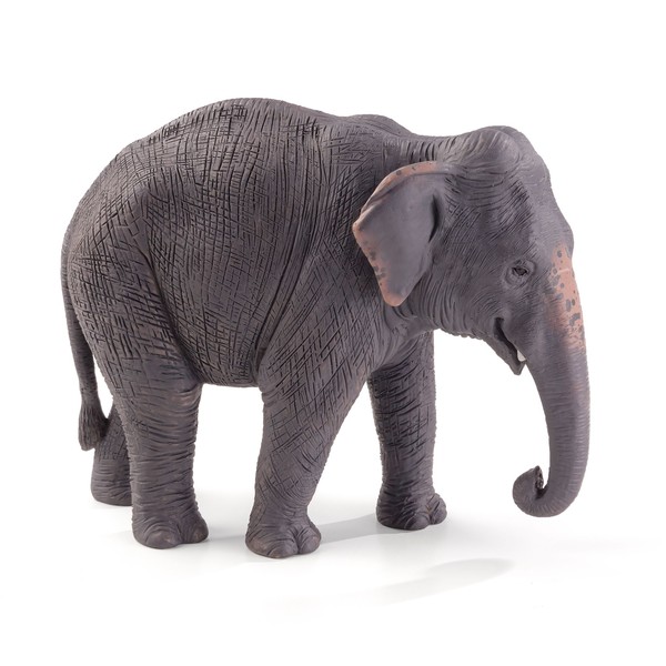 Animal Planet 7266 Asya Fili XL Figür | D&R