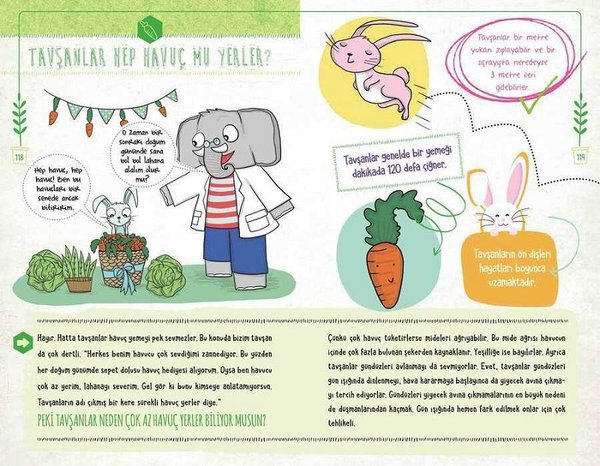 Fil Ozof'un Doğa Günlüğü (Fatih Dikmen) - Fiyat & Satın Al | D&R